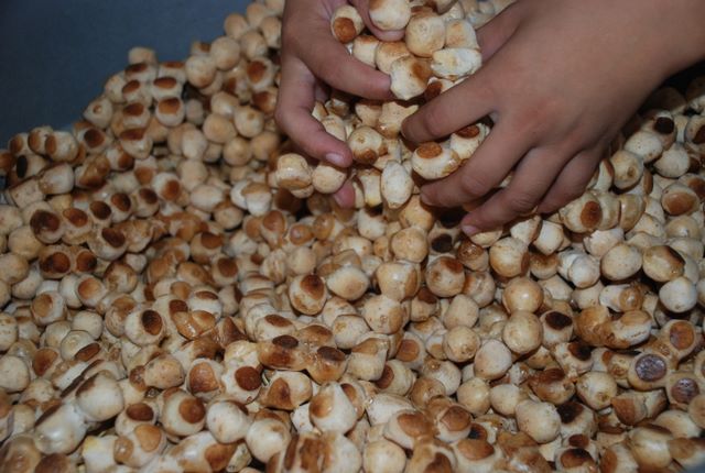 Betulianos: ELABORACION DEL DIABOLIN